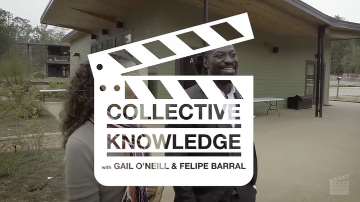 Collective Knowledge Episode 8 with Chester Asher - THEA